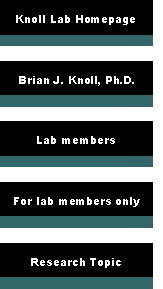 Brian J. Knoll, Ph.D.