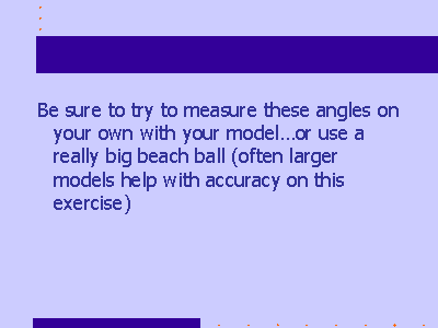 Be sure to try to measure these angles on your own with your model…or ...